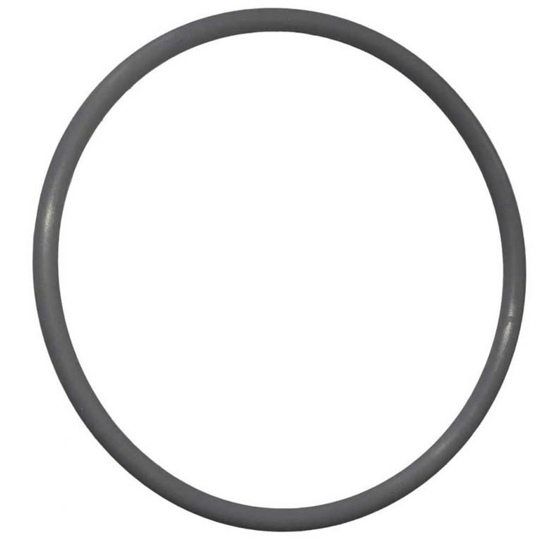 Hayward Pool Pump Lid O-Ring – Epools Pool Shop