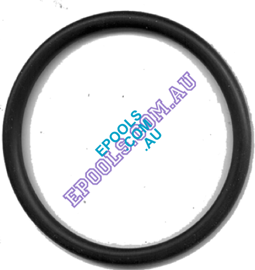 Davey Powermaster Pump Union O’Ring 50mm – Epools Pool Shop