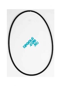 Monarch EcoPure Relience MK11 Flange O’Ring Pre-2006 – Epools Pool Shop