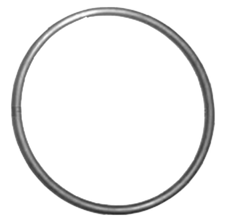Poolrite CL Series Filter Lid O Ring – Epools Pool Shop