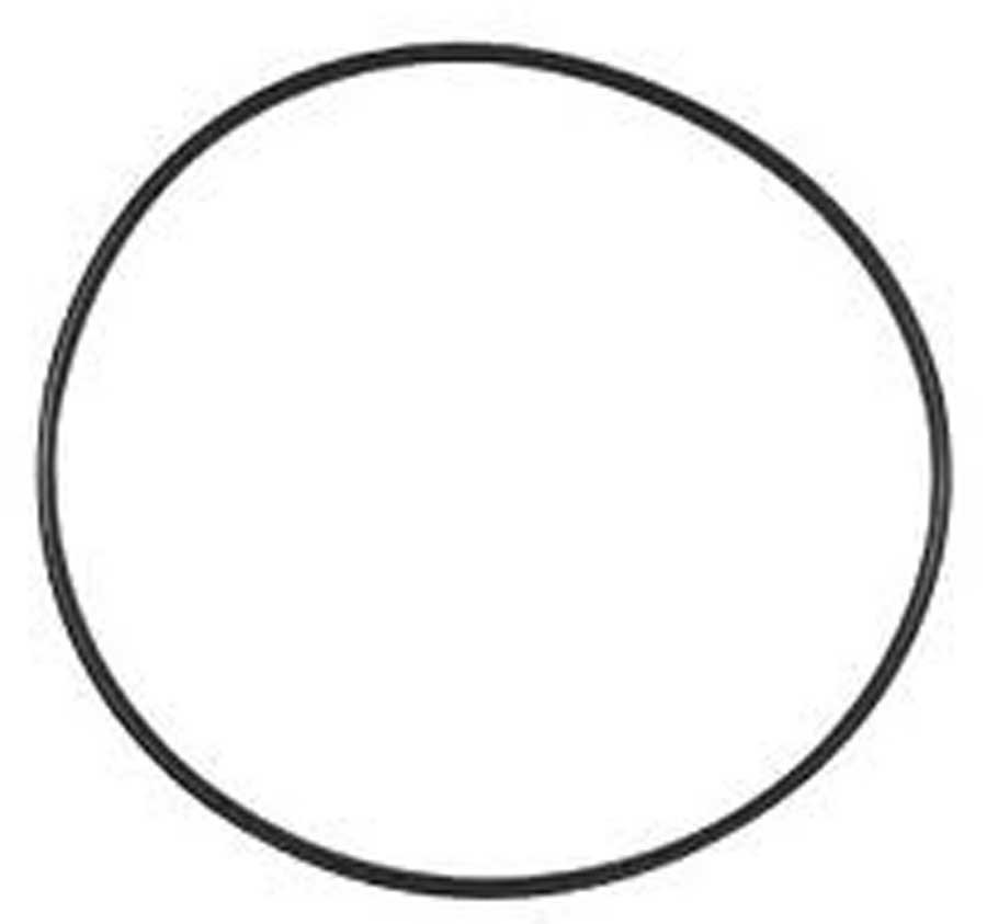 Neptune Pool Pump Lid O’Ring – Epools Pool Shop