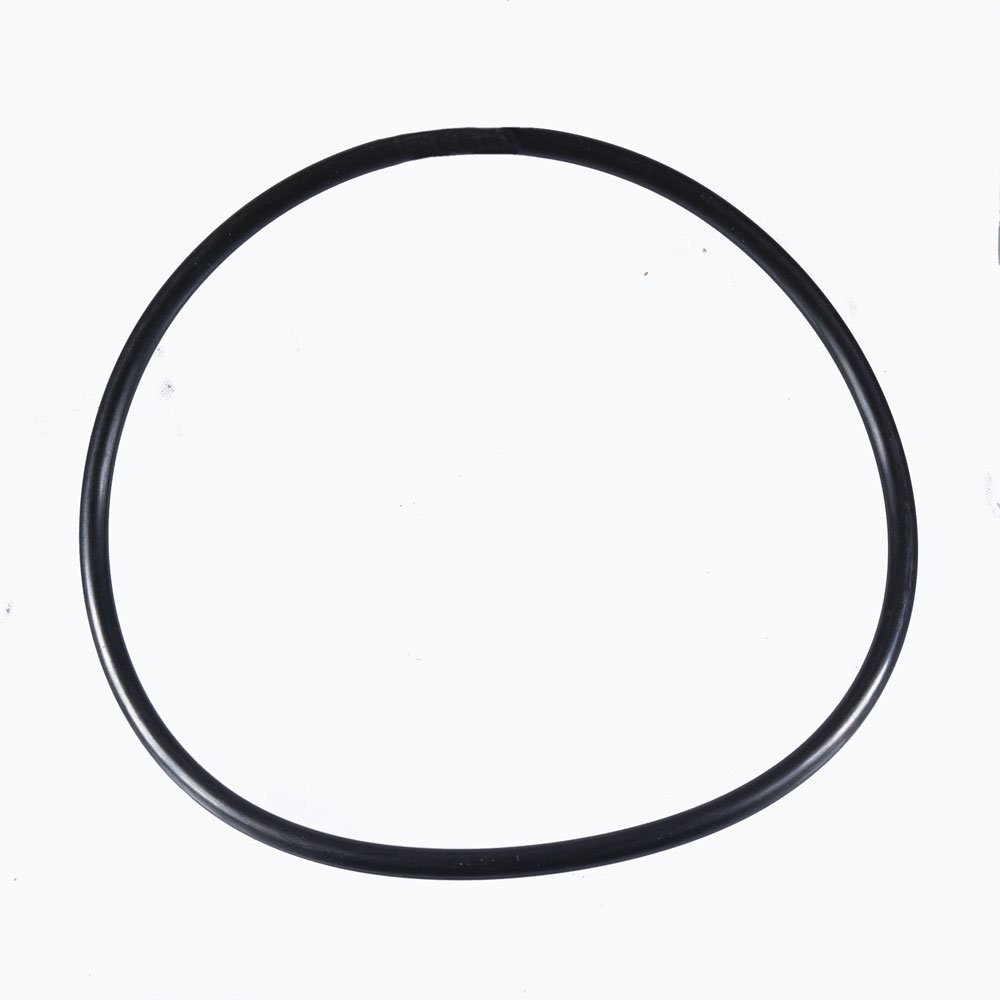 Waterco SM Micron Sand Filter Side Mount 8″ Clear Lid O’Ring – Epools ...