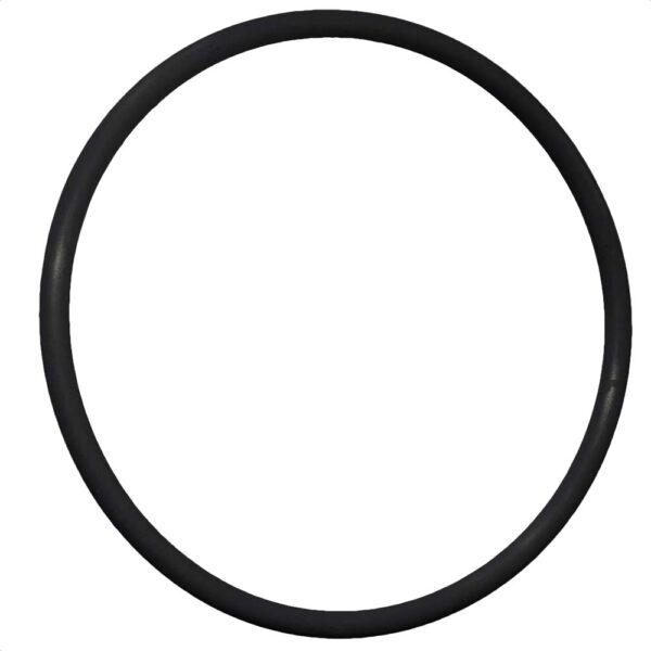 Poolstore GT Swimming Pool Pump Lid Z8201 – Epools Pool Shop