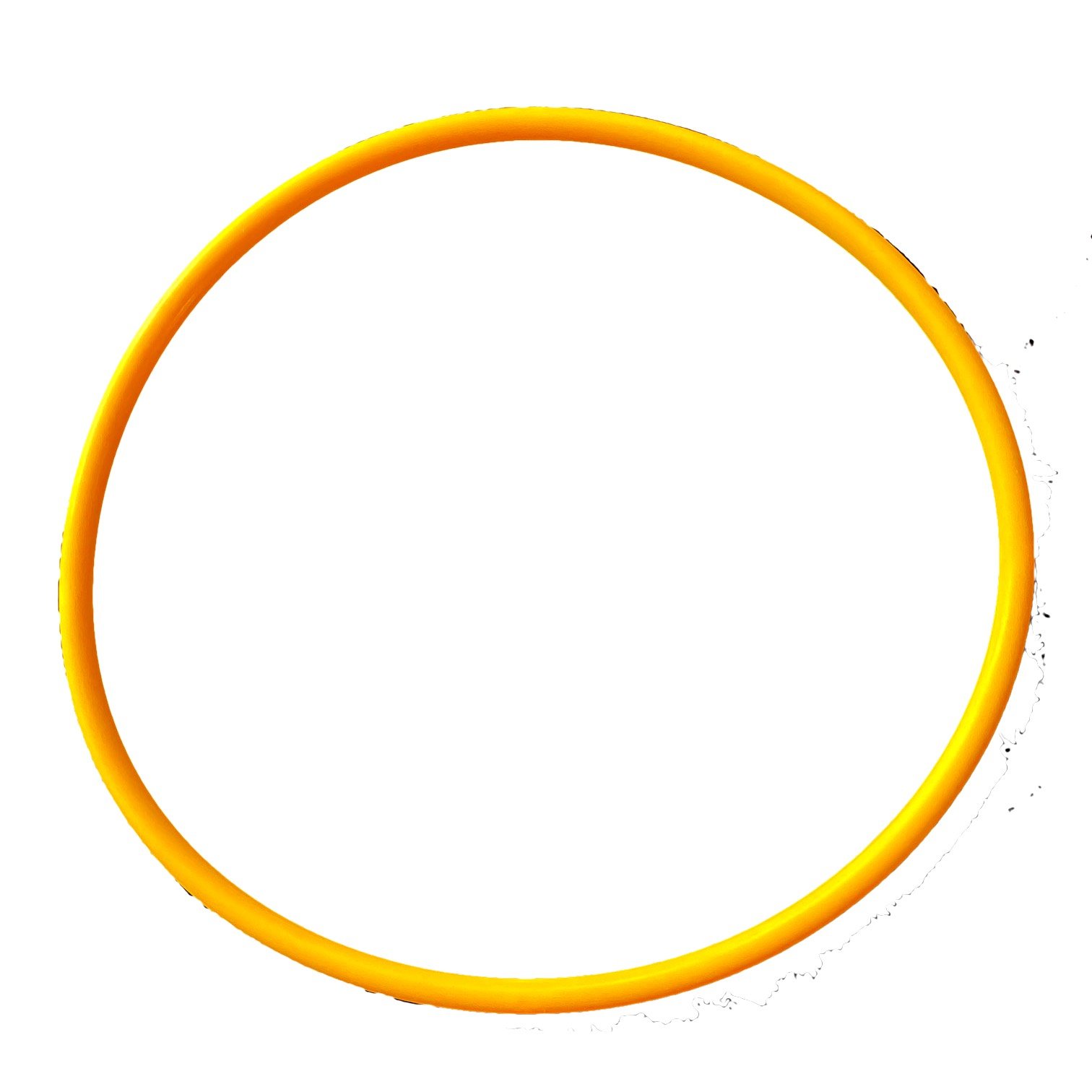 Filter Lids O-rings and Clamps – Epools Pool Shop