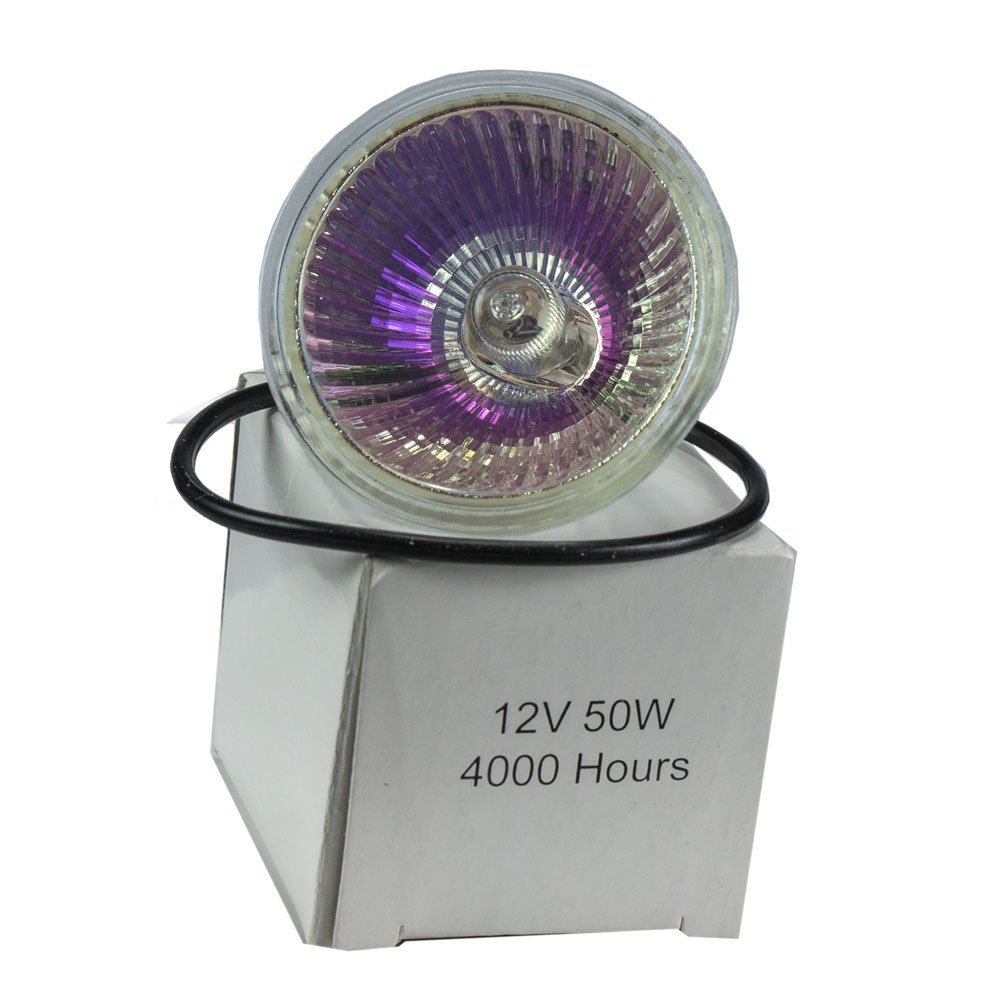 Halogen Light Globes – Epools Pool Shop