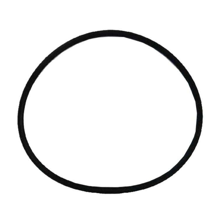 Zodiac CF Cartridge Filter Lid Locking Ring – Epools Pool Shop