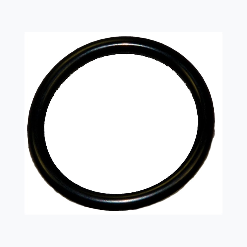 Zodiac Tri PH & ORP Probe Sensor O-Ring – Epools Pool Shop