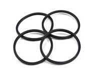 Paramount PV3 Nozzel O Ring – Pk of 4 – Epools Pool Shop
