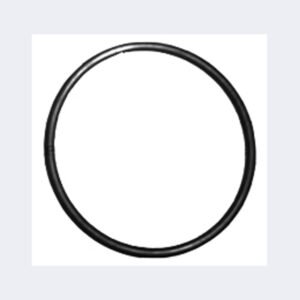 Pool Pro CPP/CPPS Chlorinator Salt Cell Housing O’Ring – Epools Pool Shop